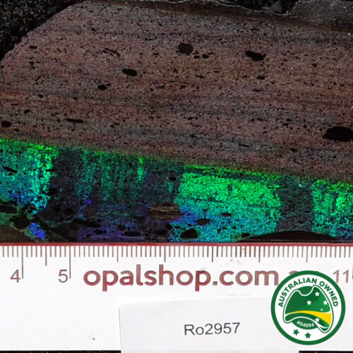 Andamooka Treated Opal Single - Ro2957 - Opal Shop