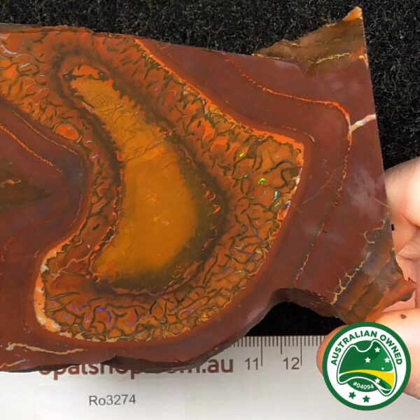 Queensland Koroit Boulder Rough Opal Single - Ro3274 - Opal Shop