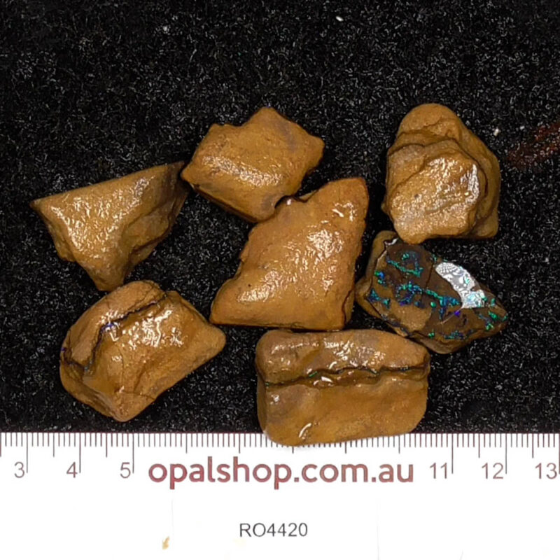Boulder Opal Rough Parcel - Ro4420 - Opal Shop